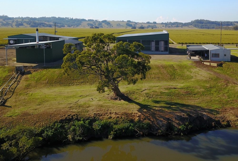 Golden Grove Naturals | » Golden Grove Development Projects